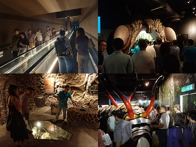 EntopiaのCocoon - 海野和男のデジタル昆虫記